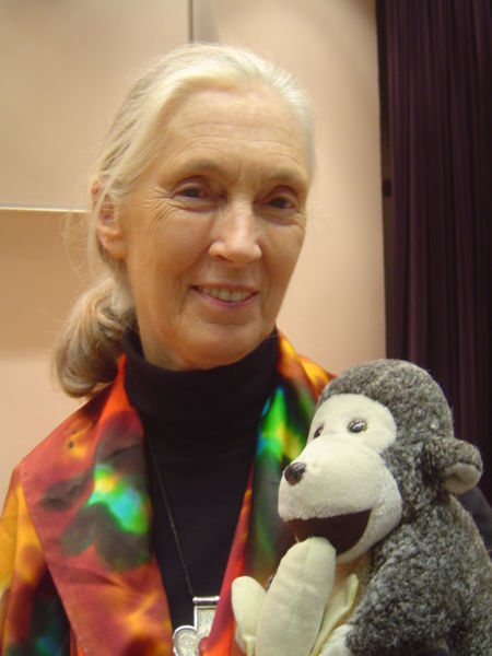 Honoring Jane Goodall * Mindfulness Garden Games